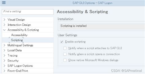 Sap Gui Scripting Csdn博客