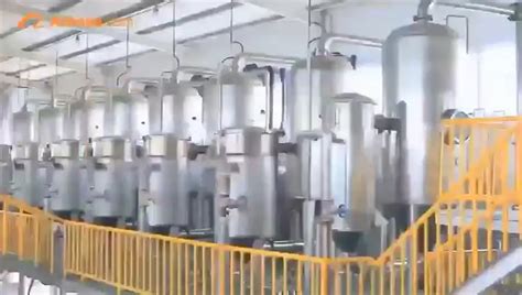 Bulk Andrographis Paniculata Extract 10 Andrographolide Powder Price 98 Andrographolide