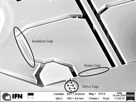 SEM Image A Of The Whole Gyro Chip B Of A Detail Showing The Download Scientific Diagram