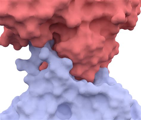 A Non Matching Surfaces B Exactly Matching Surfaces Download Scientific Diagram