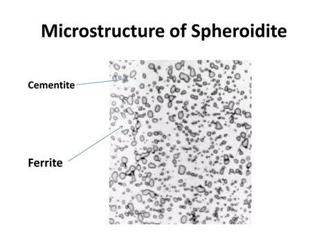 Ttt Diagram For Eutectoid Steelbainite Spherodite Martensite Pptx
