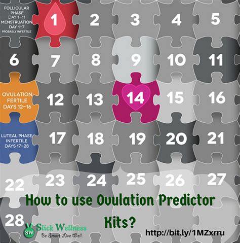 Ovulation Predictor Kit How To Use At Austin George Blog