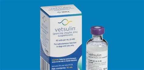 Vetsulin Does Vetsulin Need To Be Refrigerated