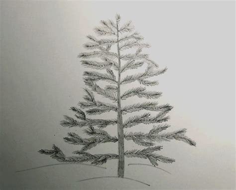 Елка в детских рисунках и простых срисовках для начинающих