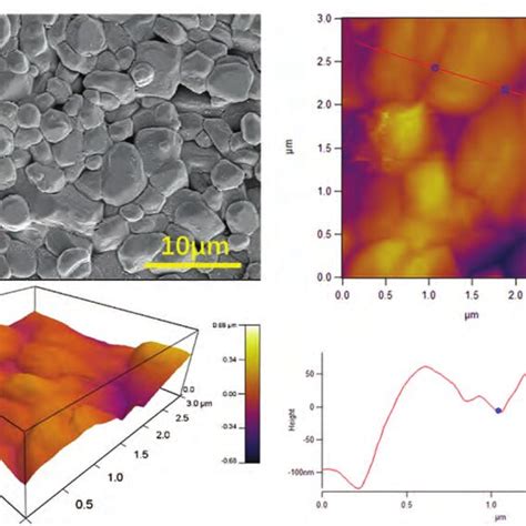 Sem And Afm Microstructure Of The Al 2 O 3 Ceramics Download