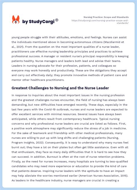 Nursing Practice Scope And Standards Free Essay Example