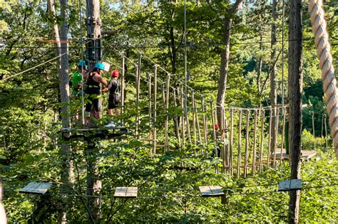 한 무리의 사람들이 여름 숲의 극단적 인 로프 파크에서 힌지 트레일을 간다 한 사람들이 안전 장비와 헬멧을 착용 한 놀이 공원의
