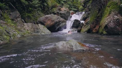 Naked Man Swimming River Water Flowing Stock Footage Video 100