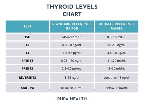 A Functional Medicine Hypothyroidism Protocol Comprehensive Testing Supplements And