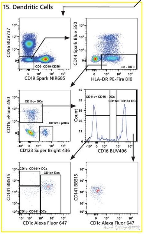 【光谱系列3】40色全光谱流式用于人外周血中主要细胞亚群的深度免疫表型 知乎