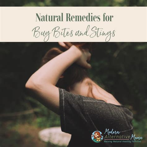 Natural Remedies For Bug Bites And Stings