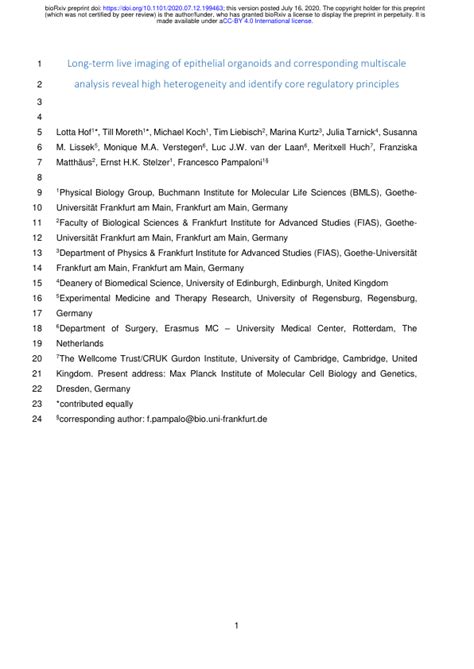 Long Term Live Imaging Of Epithelial Organoids And Corresponding Multiscale Analysis Reveal High