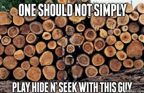 Meme Hide And Seek Meme 2015 Viral Viral Videos