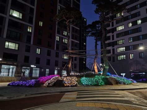 의정부 신곡포레스타뷰 아파트 겨울맞이 경관조명 수목조명 포토존 디자인조명 대형크리스마스트리 2021년