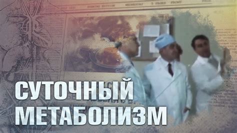 Как Правильно распределять Пищу в течение дня для Сжигания жира или Набора массы Youtube