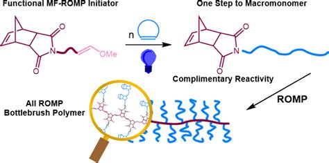 Combining Metal Free And Metal Mediated Ring Opening Metathesis