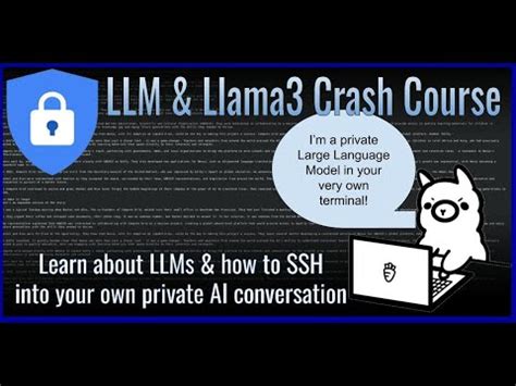 Llama3 LLM Crash Course Learn About LLMs How To SSH Into Your Own Private AI Conversation