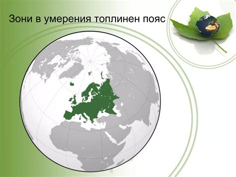 Природни зони в Европа Ppt