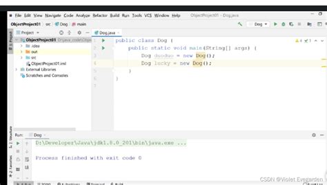 面向对象编程基础：概念、java实现与特性 Csdn博客