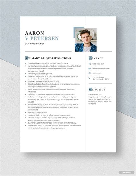 Clinical Sas Programmer Resume In Word Pages Download