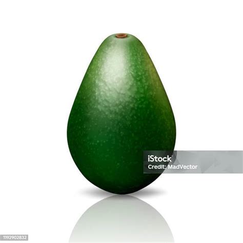 반사와 흰색 배경에 격리 벡터 3d 현실적인 전체 아보카도 클로즈업 디자인 템플릿 음식 건강 다이어트 개념 정면 보기 0명에