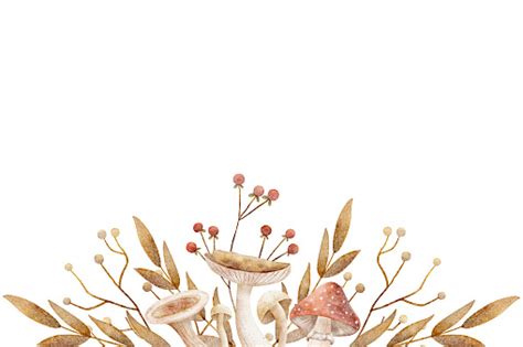 수채화 구성 가을 숲 버섯 열매 잎 벽지 프레임 손 그림 파리 Agaric Toadstool 초대장 엽서 포스터 휴일을 위해 투명 배경에 격리 된 템플릿 버섯에 대한 스톡