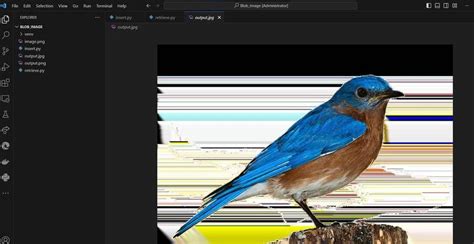 Convert Blob Image To Png And  Using Python Geeksforgeeks