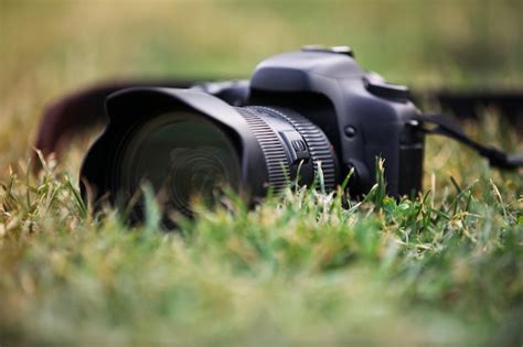 Premium Photo Photo Camera On The Grass
