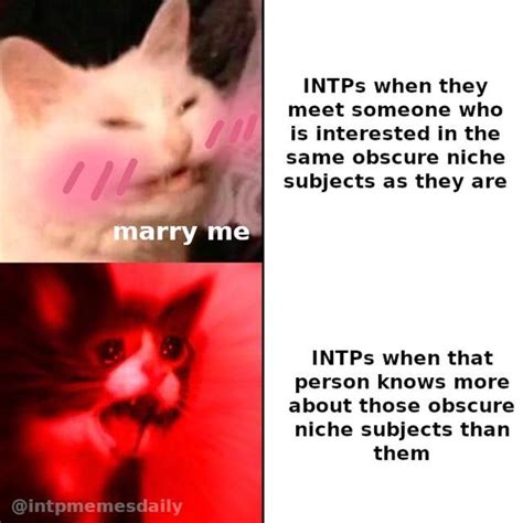 🤓 Intp Memes Every Day Na Instagramie „follow Intpmemesdaily For Your