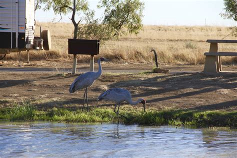 22 Things To Do In Sapphire And Rubyvale The Gemfields Qld