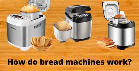 How Do Bread Machines Work And What Things You Should Know