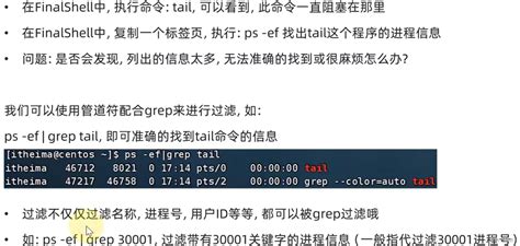 四linux实用操作 8 11网络请求和下载and端口and进程管理and主机状态监控linux 查看网络下载 Csdn博客