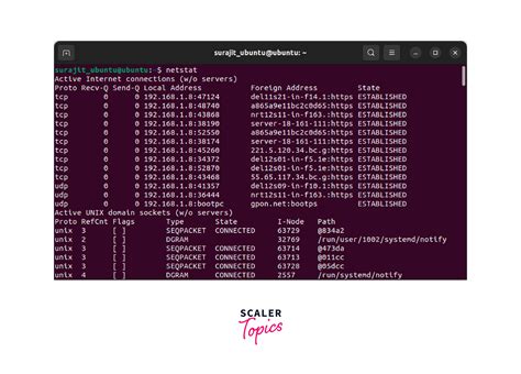 What Are Networking Commands In Linux Scaler Topics
