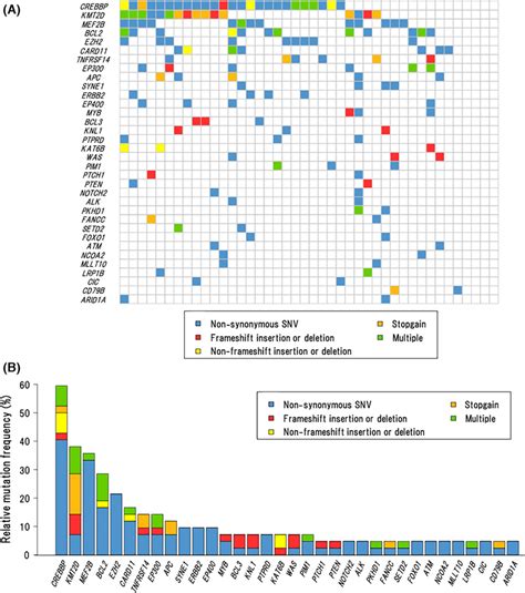 Landscape Of Somatic Mutations A Co‐mutation Plot Showing The