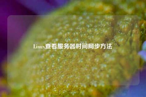 Morlink时间服务器:优质时间同步,稳定网络通信 北斗时源ntp服务器 Morlink时间服务器:优质时间同步,稳定网络通信 北斗时源ntp服务器