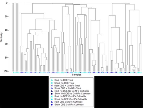 dendrogram cluster based on s17 braycurtis similarity cophenetic