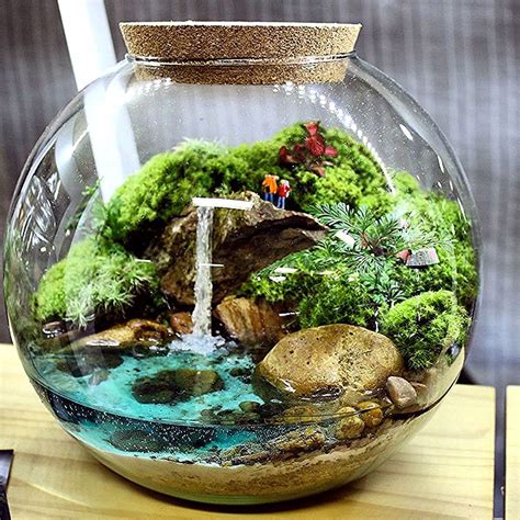 Closed Jar Terrarium Diy At Jenny Ouellette Blog