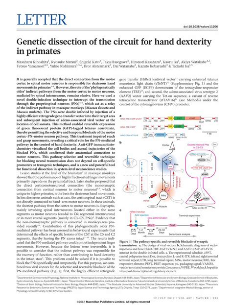 pdf genetic dissection of the circuit for hand …brainmind umin jp