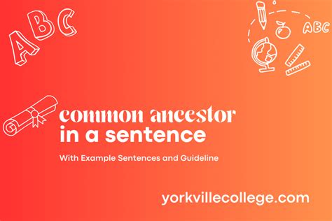 How To Use Common Ancestor In A Sentence Easy Examples