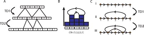 Figure 1 From The Combinatorics Of Tandem Duplication Semantic Scholar