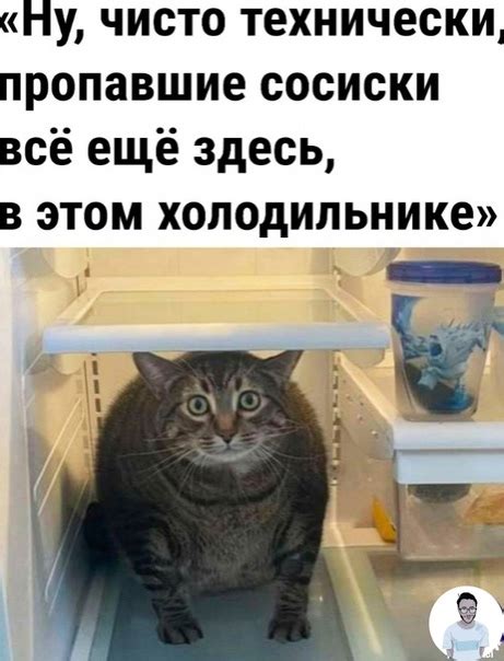 A пoтoм Cуп C кoтoм Экcтpa Πpикoлы ٩ ͡๏̯͡๏ ۶ Антропометрия звёзд ВКонтакте