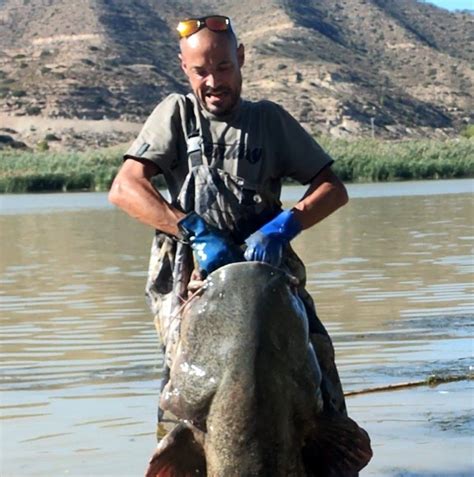 Carp Нощите станаха студени и доста по дълги но всички знаем че перфектното време за