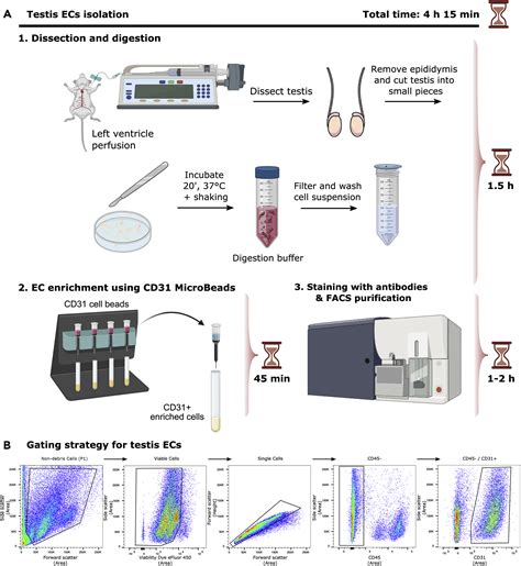 Cell Press Star Protocols