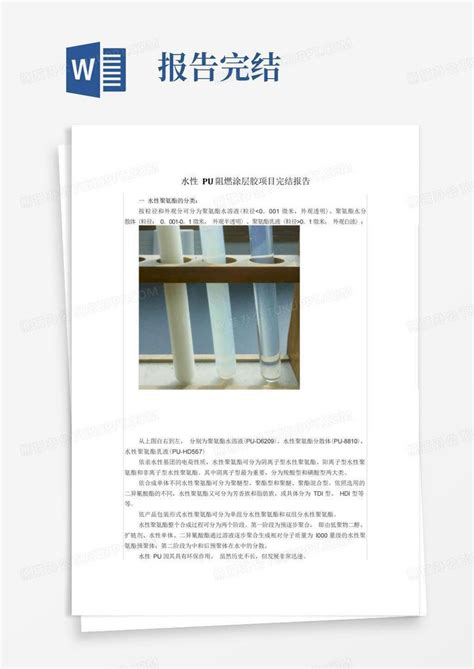 水性pu阻燃涂层胶项目完结报告Word模板下载 编号qppewbgm 熊猫办公