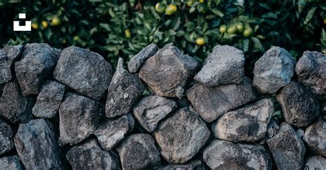 녹색 과일이 있는 나무 옆에 회색 돌 울타리 사진 Unsplash의 무료 제주도 이미지