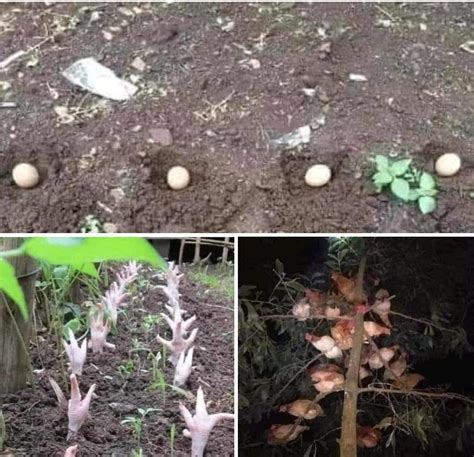 638 Best Meme Farm Images On Pholder Minecraft Memes League Of Memes