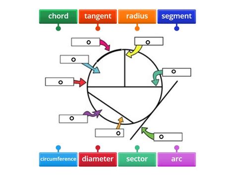 Parts Of A Circle Labelled Diagram