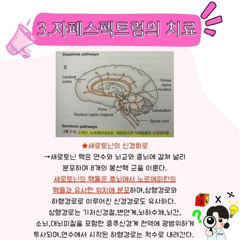 ※자폐스펙트럼asd의 뇌과학적 이해