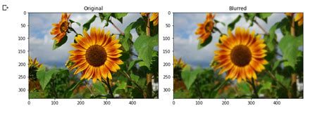 Image Augmentation Using Skimage In Python Codespeedy
