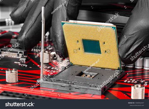 Hand Cpu Installation Computer Processor Into Stock Photo Shutterstock